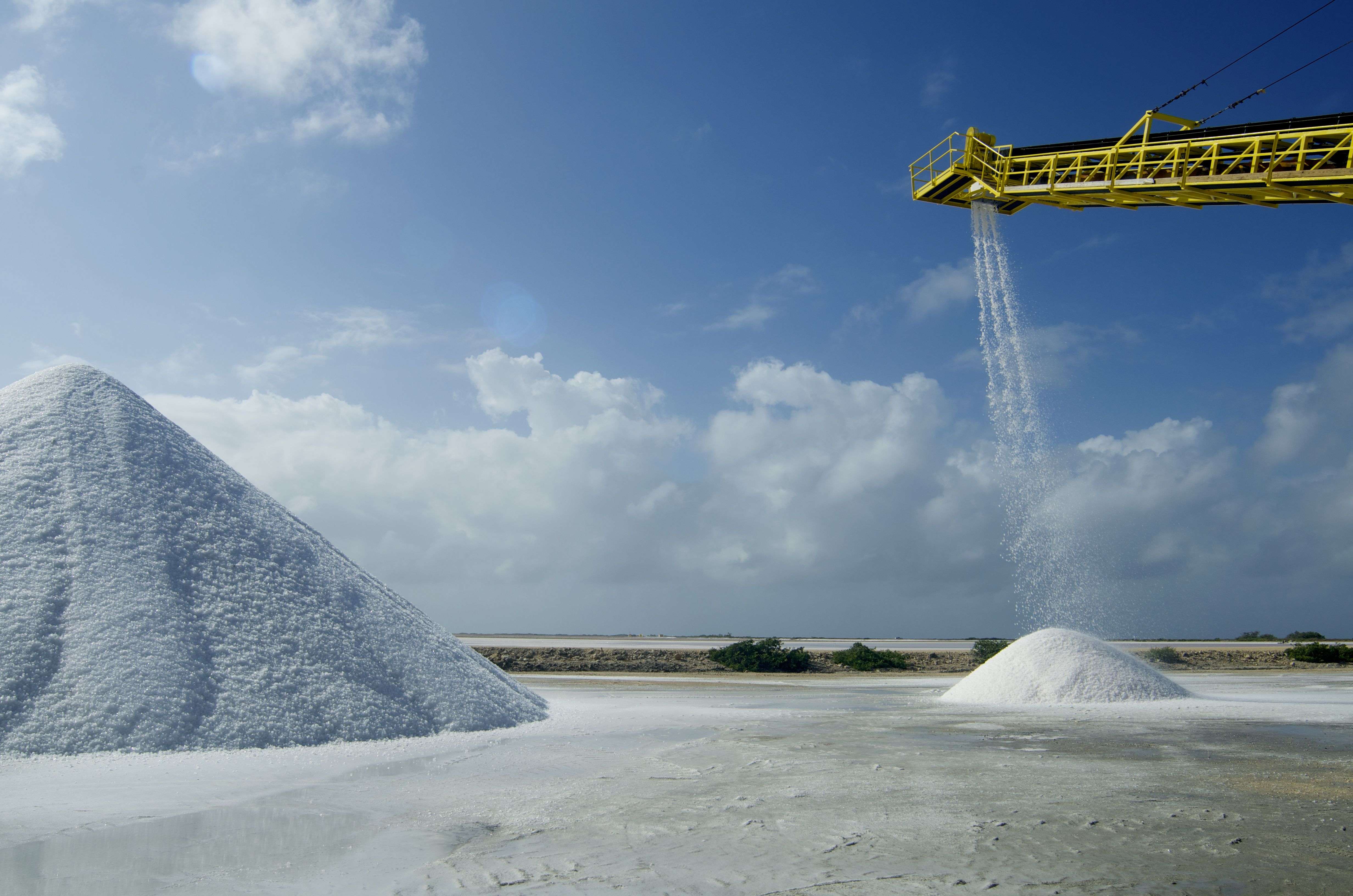 LEED SALT